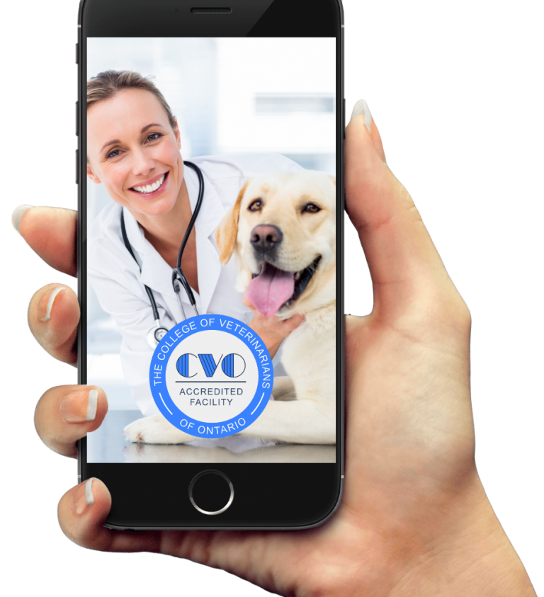 Smart.Vet - Customer - Smart.Vet