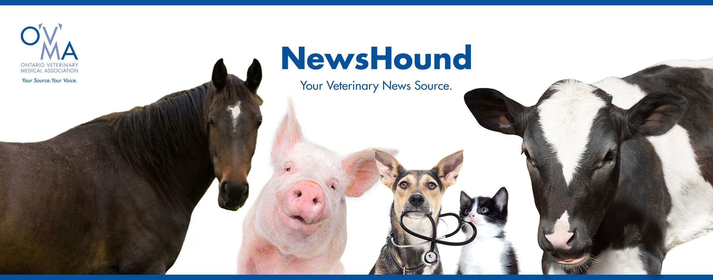 OVMA Webinar - April 24 - Smart.Vet