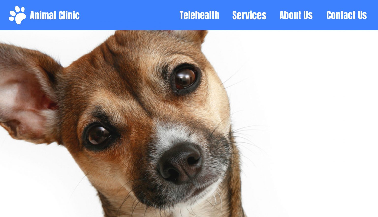 Smart.Vet - Virtual Care Platform - Smart.Vet