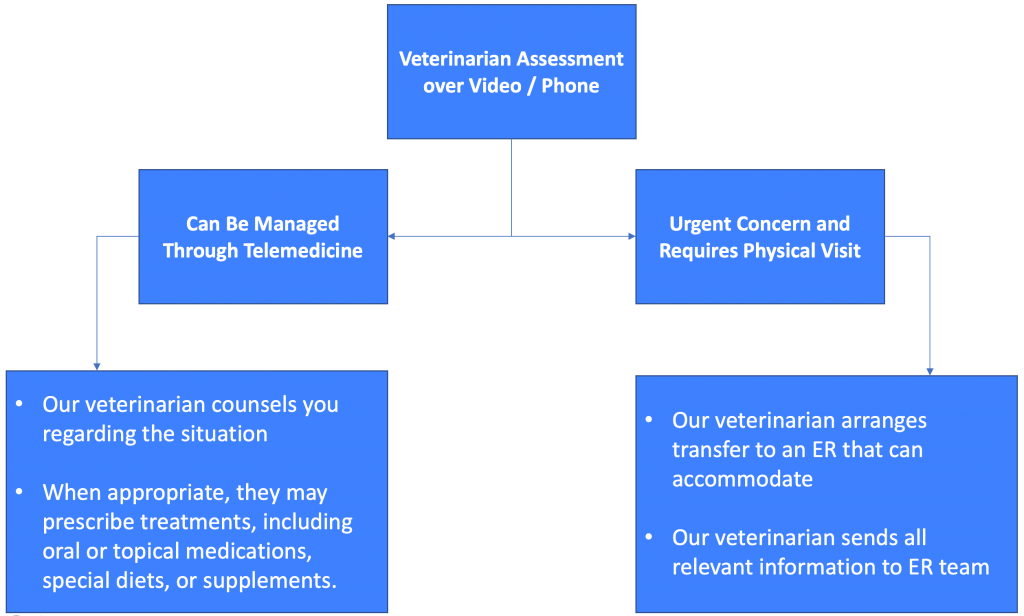 Enabling Greater Access to Veterinary Care - Smart.Vet